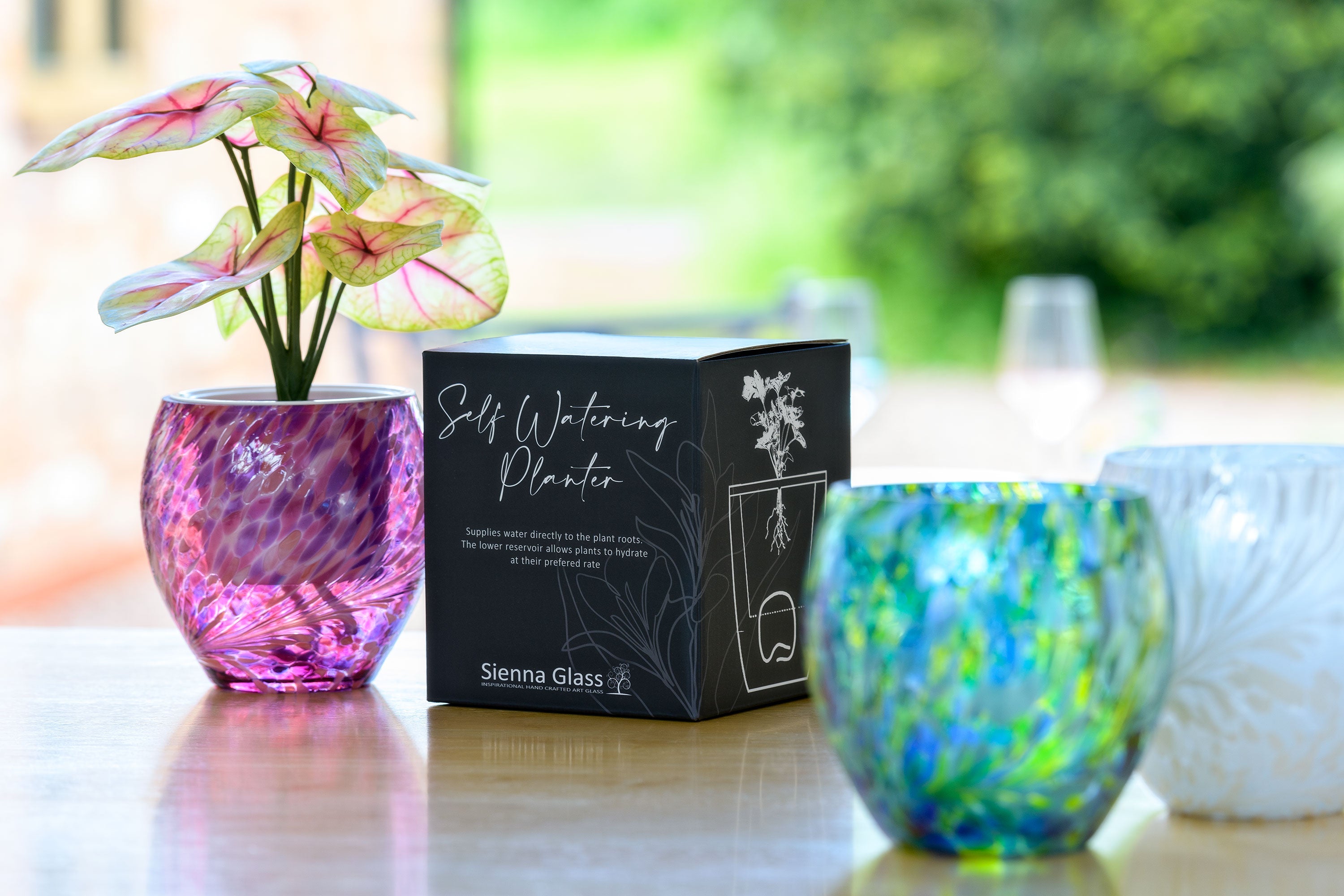Helping Your Home and Garden Wake Up for Spring – Aspire Art Glass